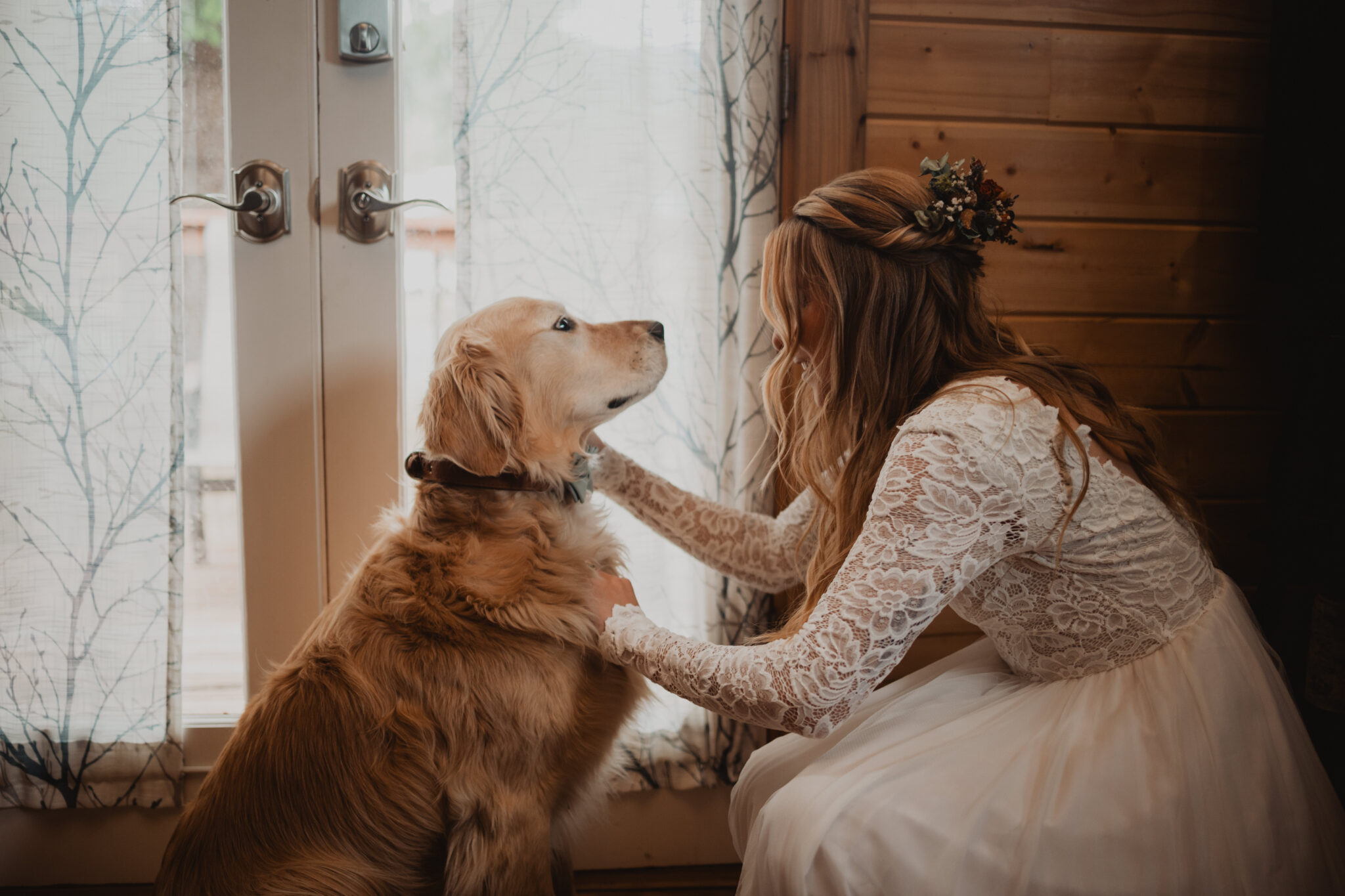 6 Ways to Include Your Dog in Your Wedding - ashleydeansphotography.com